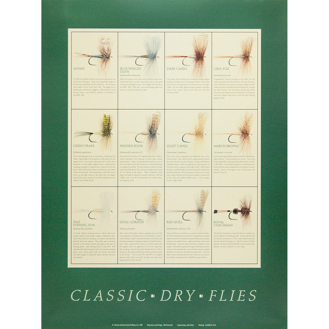 Fly Fishing Poster - Etsy