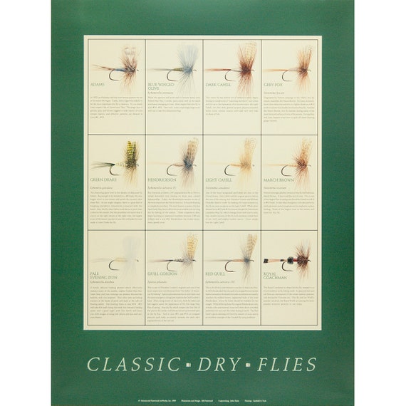 Fly Fishing Poster | Etsy