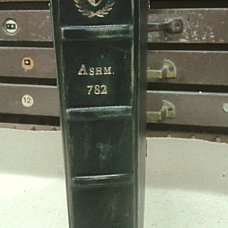 Discovery of Witches - Etsy