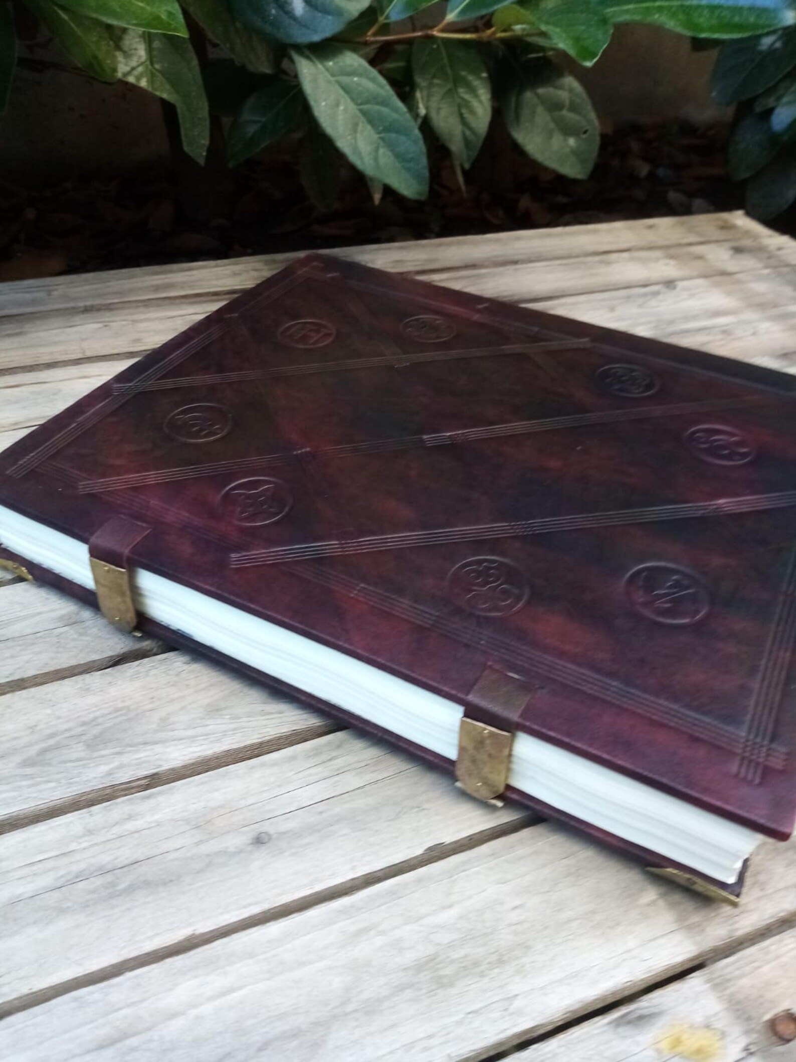 Vera Book of Shadows, Charmed Reboot Replica - Blank Pages - Etsy