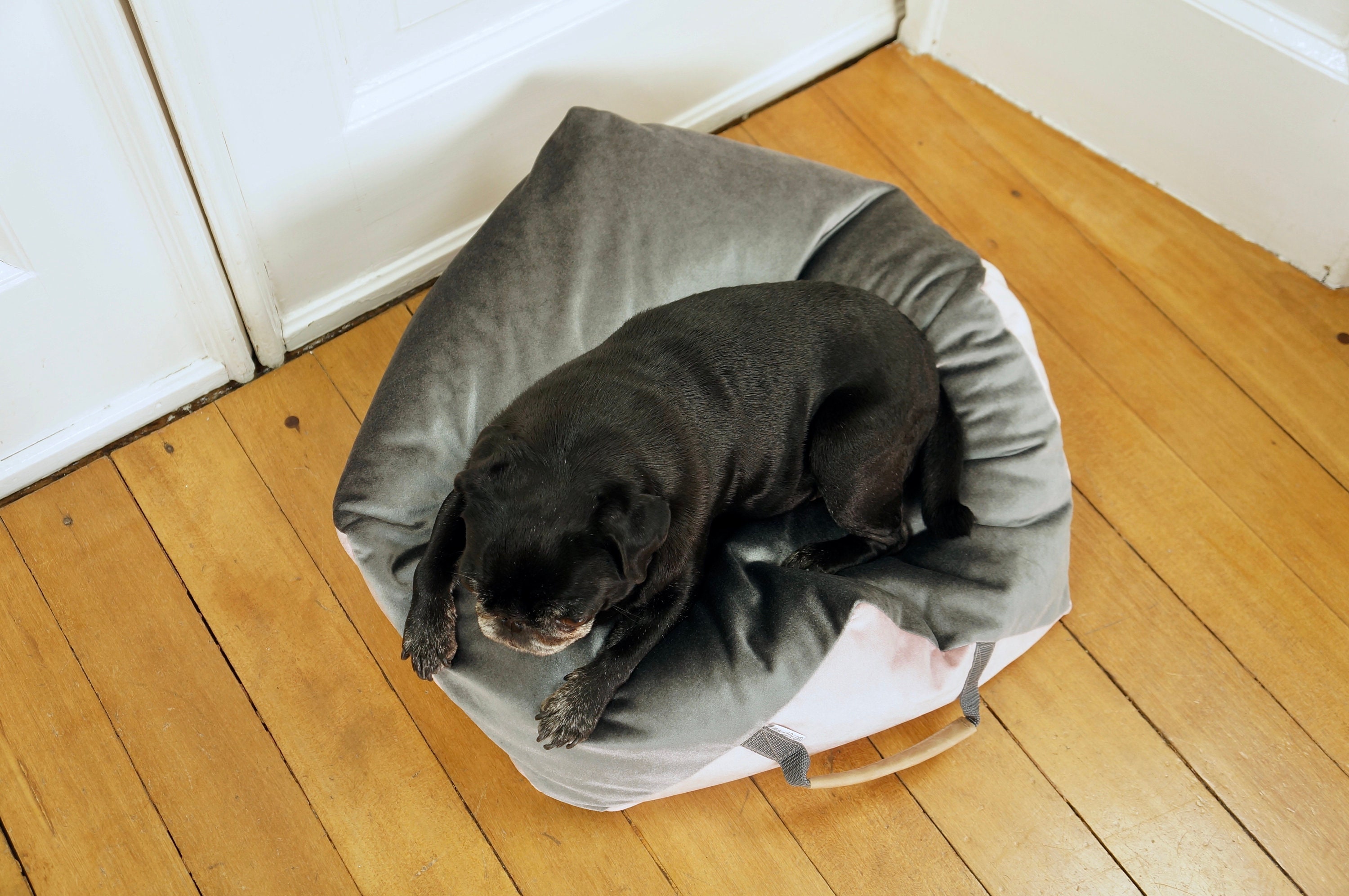 Dog Bed Pillow Comfy Cube Square Hexagon Velvet Grey Top with - Etsy