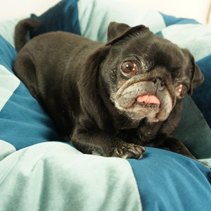 Dog Bed Pillow Comfy Cube Square Hexagon with Inner Pillow and Filling ...