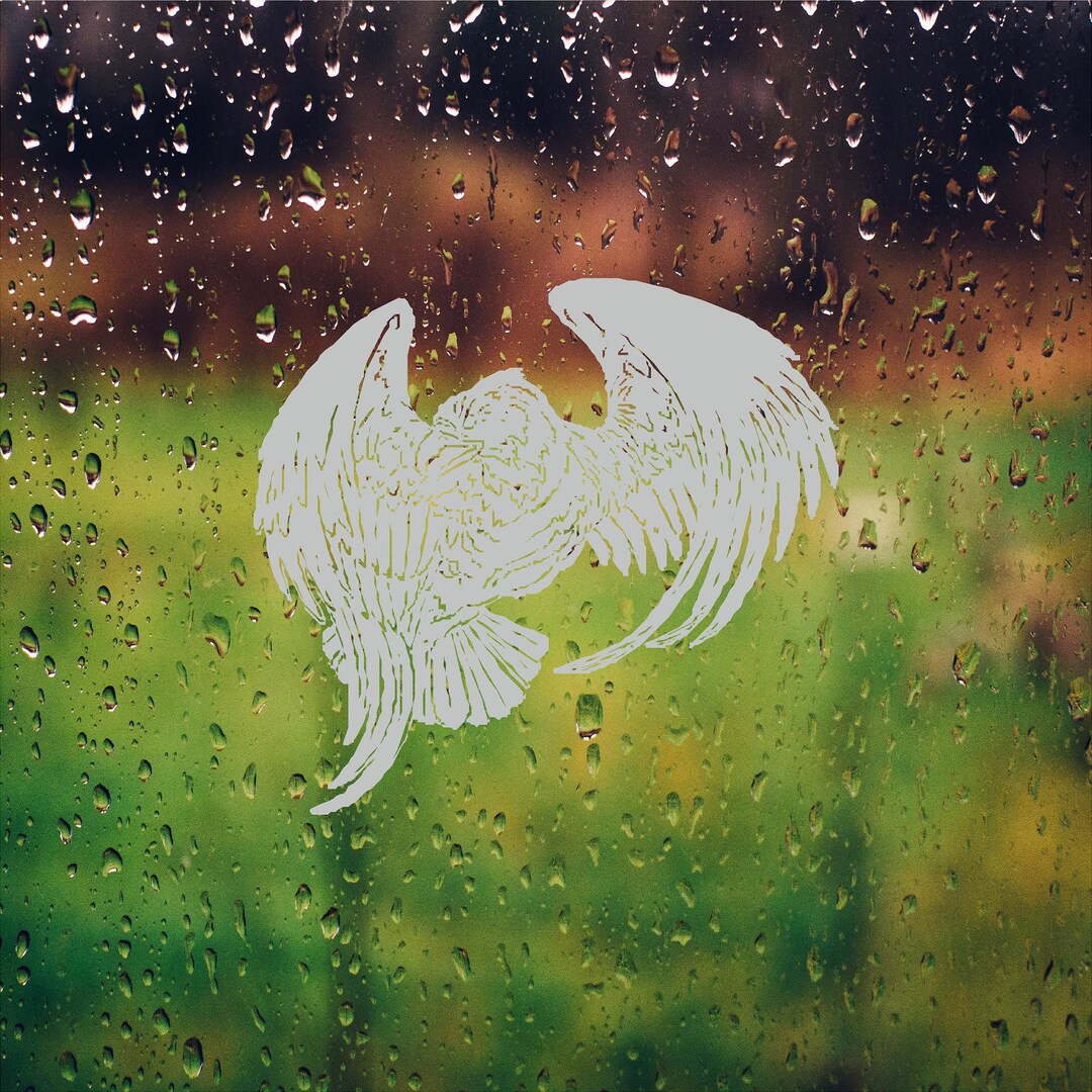 Flying American Bald Eagle Front Door Shower Mirror Etched Vinyl Decal ...