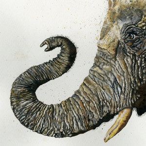 Elephant Cyril Art Print - Etsy