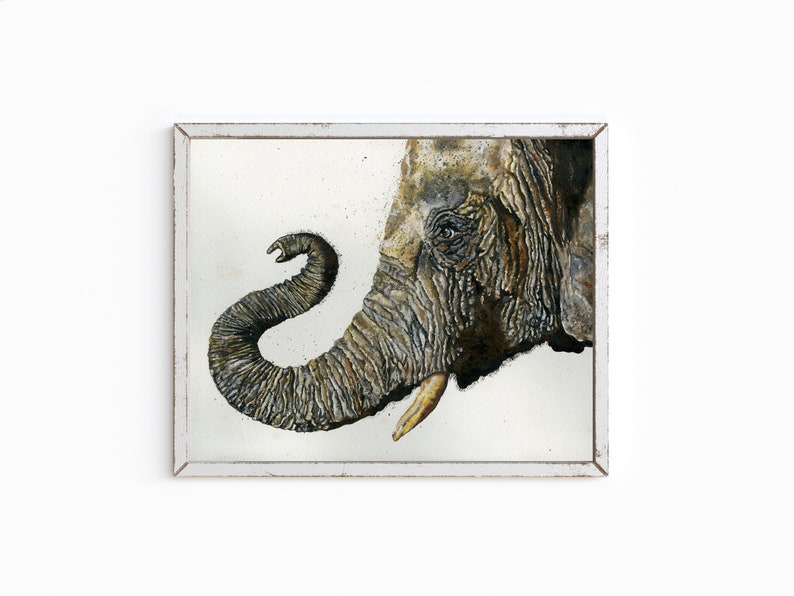 Elephant Cyril Art Print - Etsy