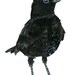 Black Bird Blakely Art Print - Etsy