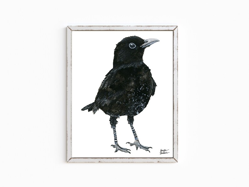 Black Bird Blakely Art Print - Etsy
