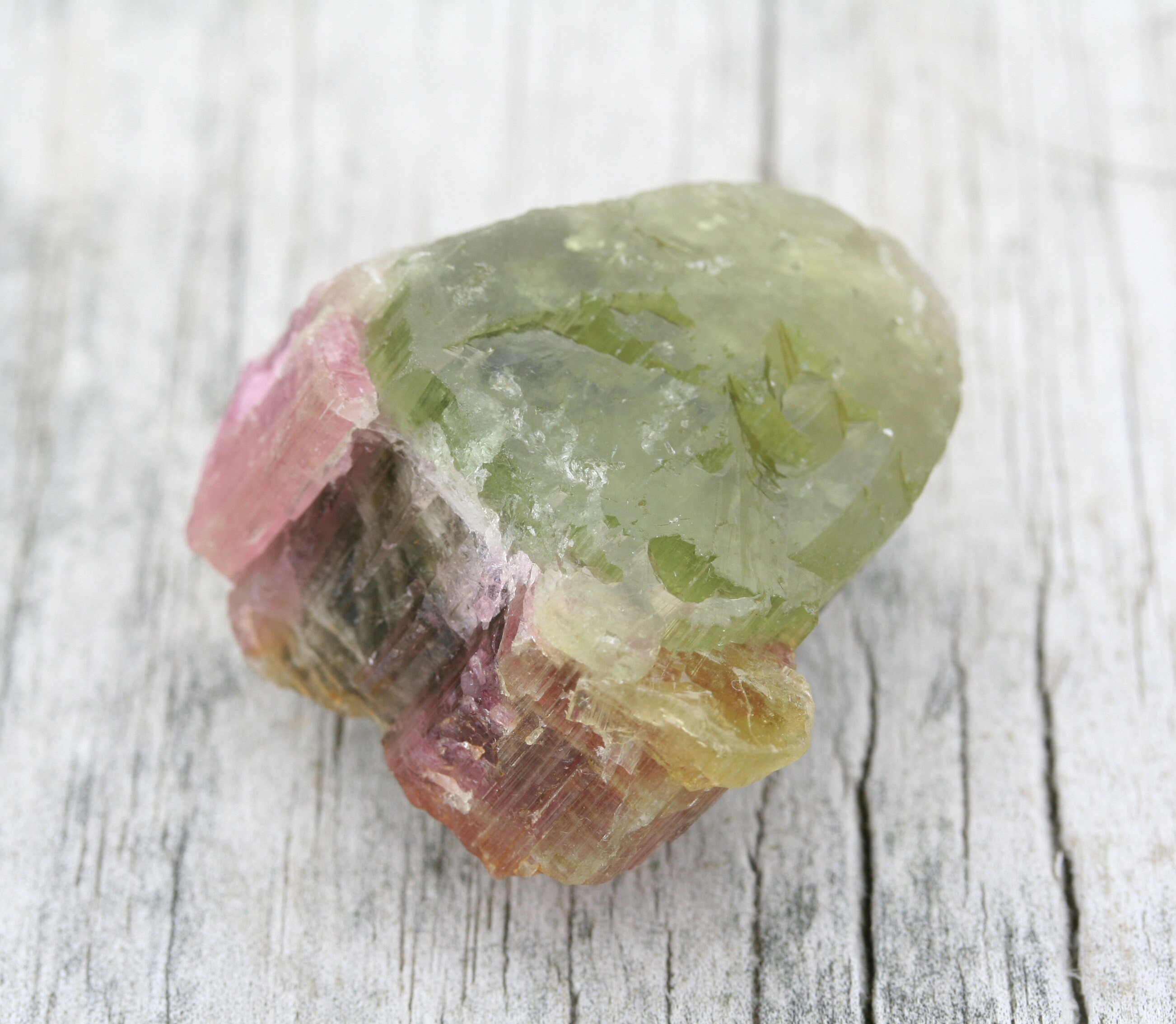 Watermelon Tourmaline Crystal Himalaya Mine California USA Collector ...