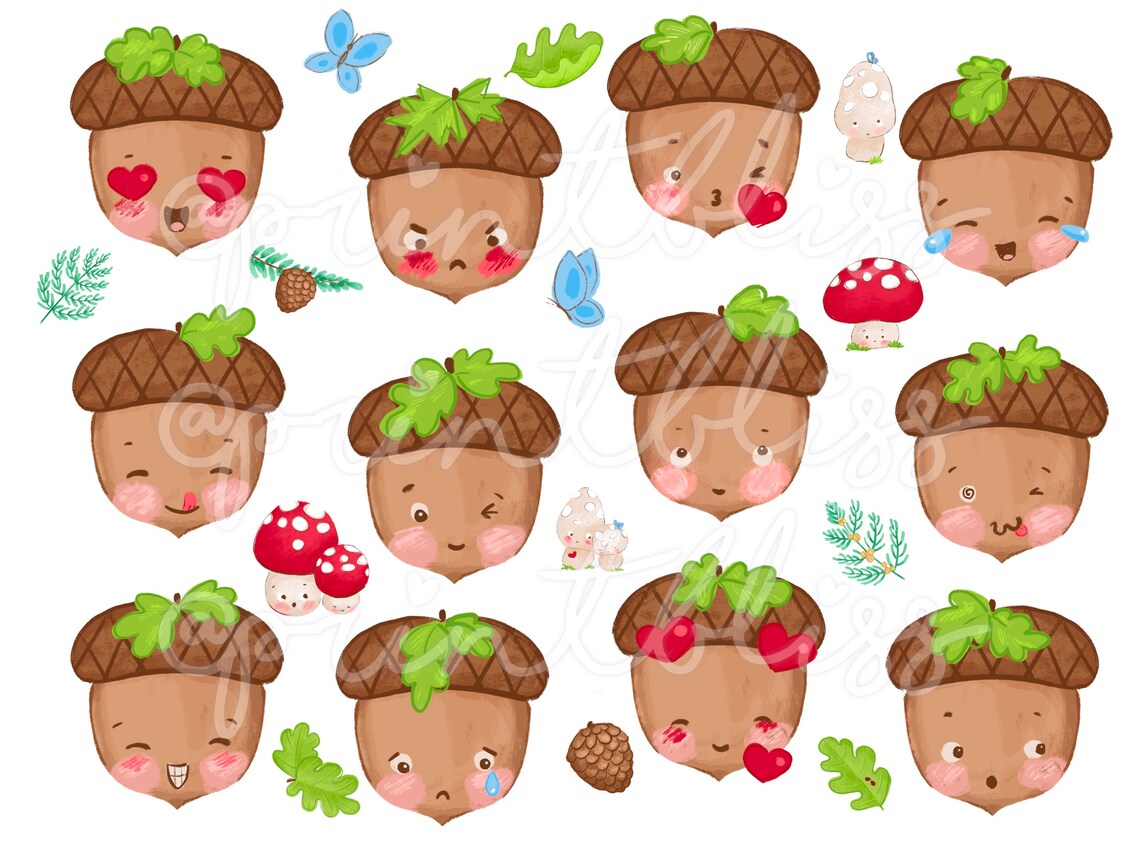 Acorn Emoji Clipart and Digital Paper Bundle - Etsy