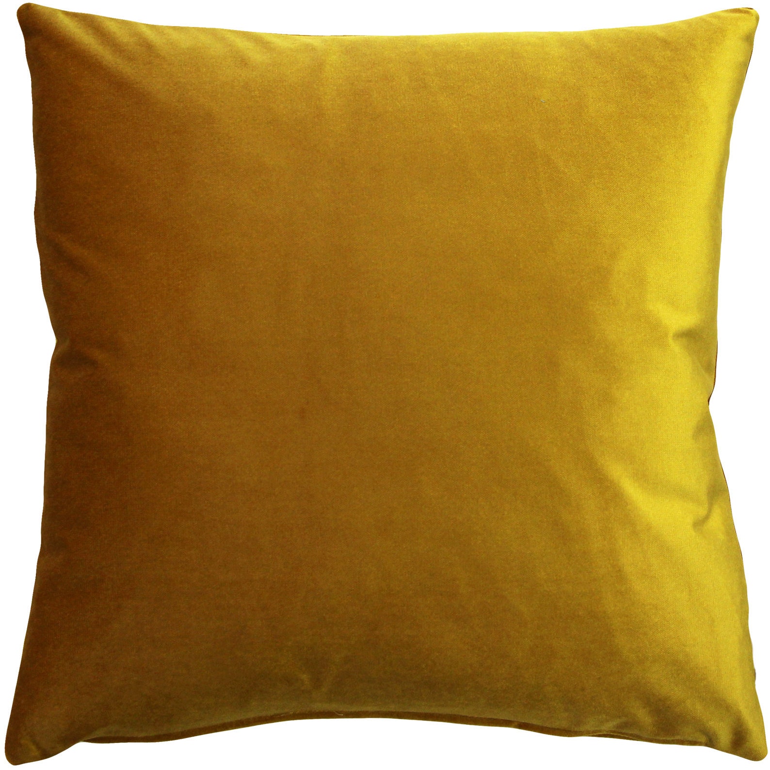 Corona Velvet Pillow, 19x19 (insert Included) - Etsy