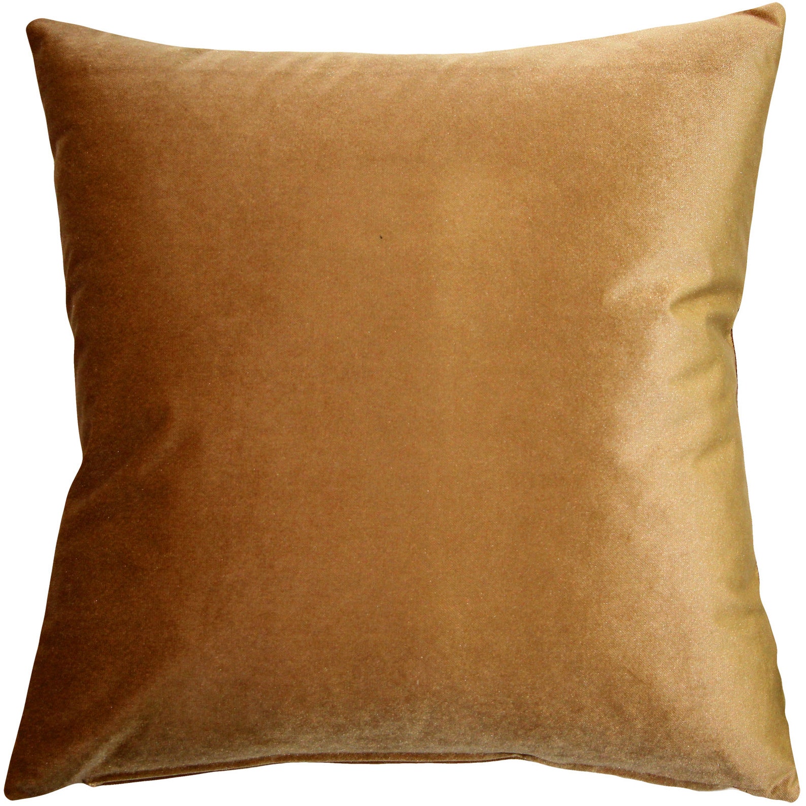 Corona Velvet Pillow, 19x19 (insert Included) - Etsy