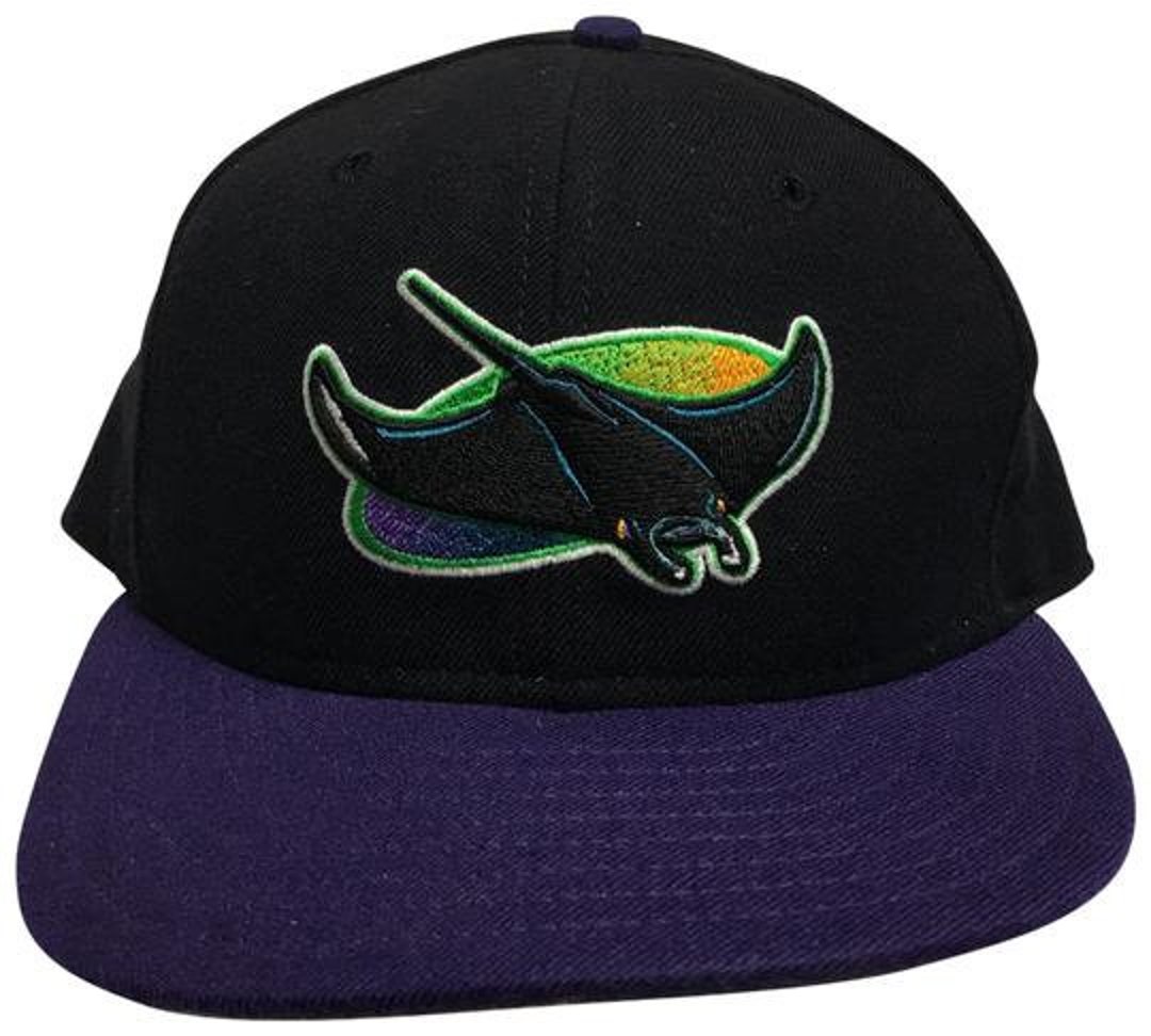 Tampa Bay Devil Rays Vintage 90s Cap - Etsy