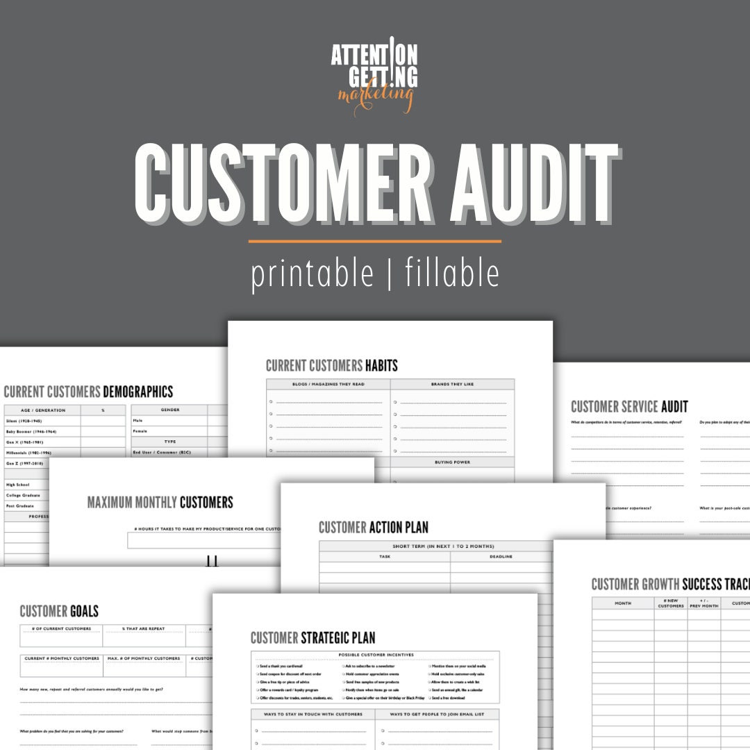 Target Market Strategy Customer Audit Target Audience Template Target ...