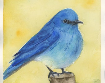 Eastern Bluebird Watercolor Print Backyard Bird Art Painting - Etsy