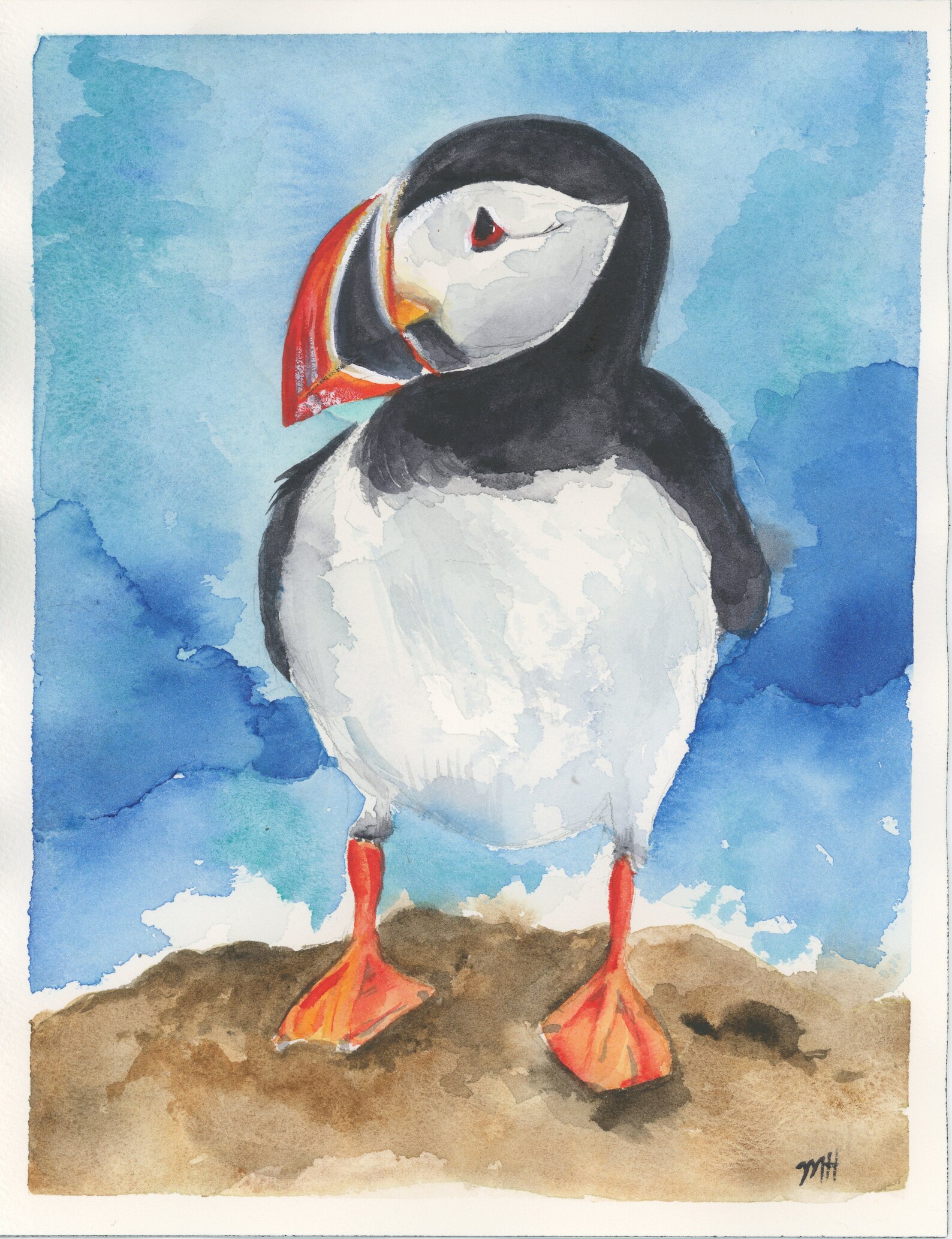 Atlantic Puffin Watercolor, Original Watercolor Painting 8"x10" (NOT A ...