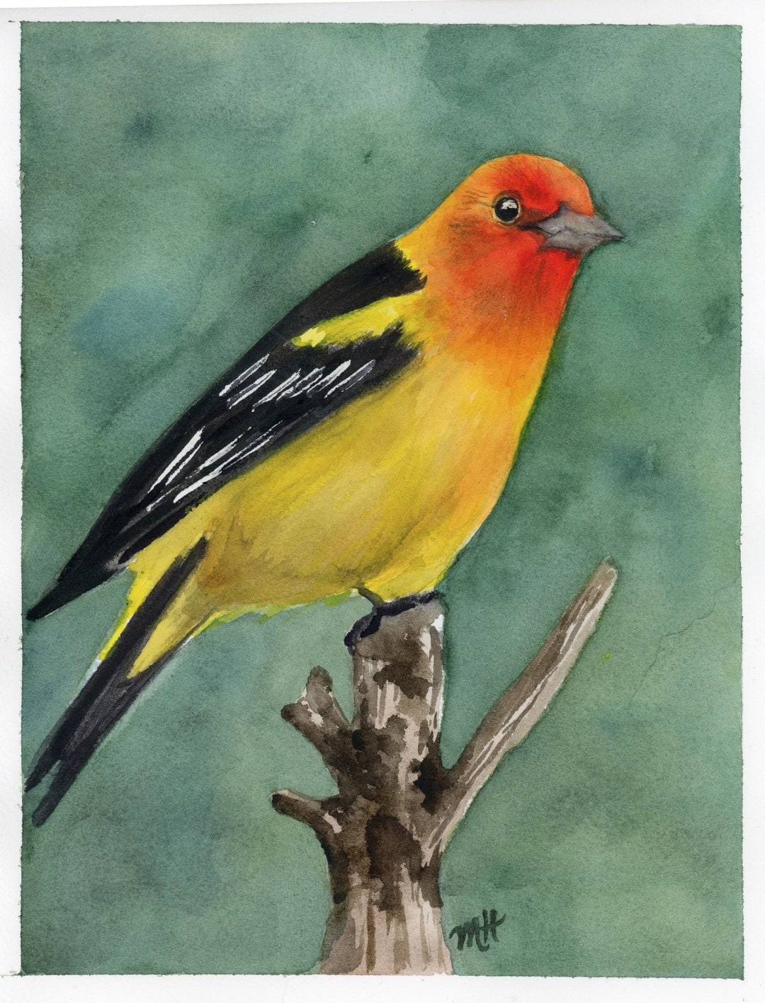 Original Western Tanager Watercolor Painting, 8x10 Bird Art - Etsy