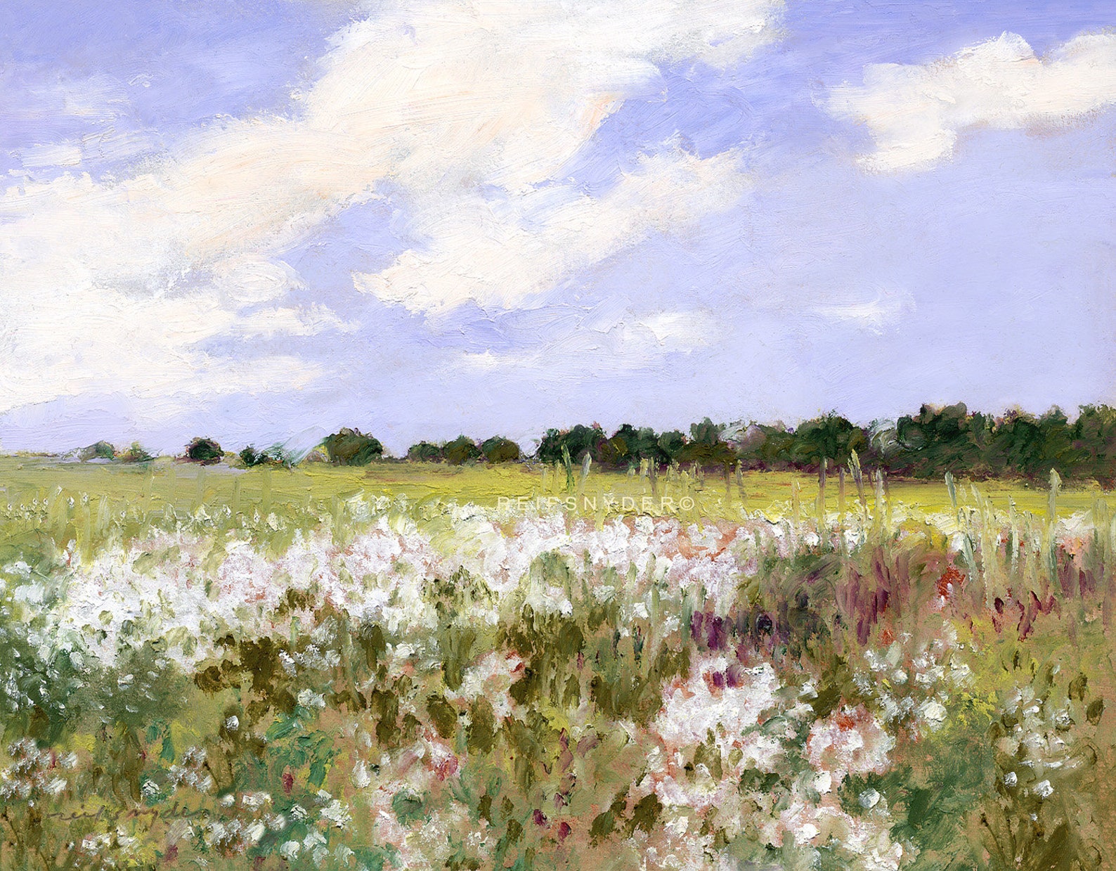 Landscape Print Wildflowers in a Field, Paper, Art, Scenic Pictures ...