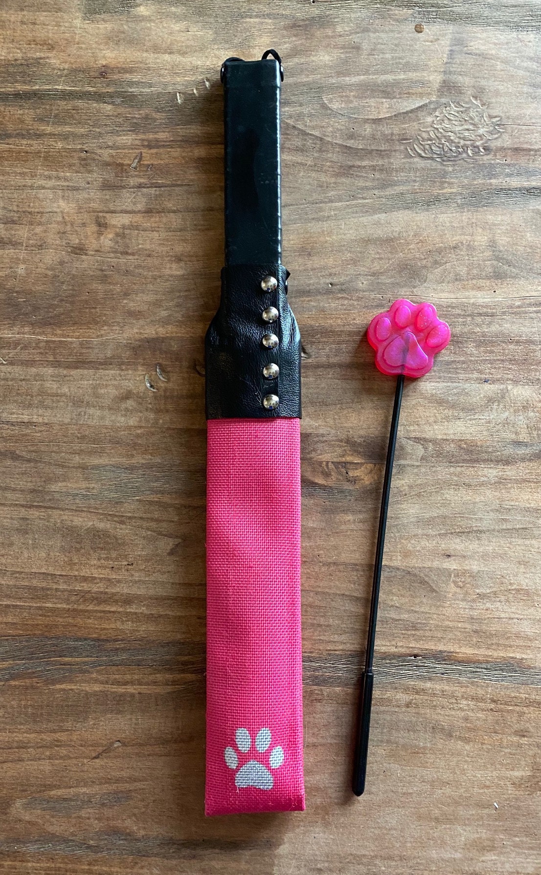 Pink Paw Shot Loaded Fire Hose Paddle & Wicked Wand Set