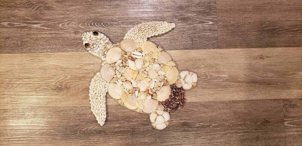 Seashell Turtle Shell Turtle Seashell Wall Decor Beach | Etsy