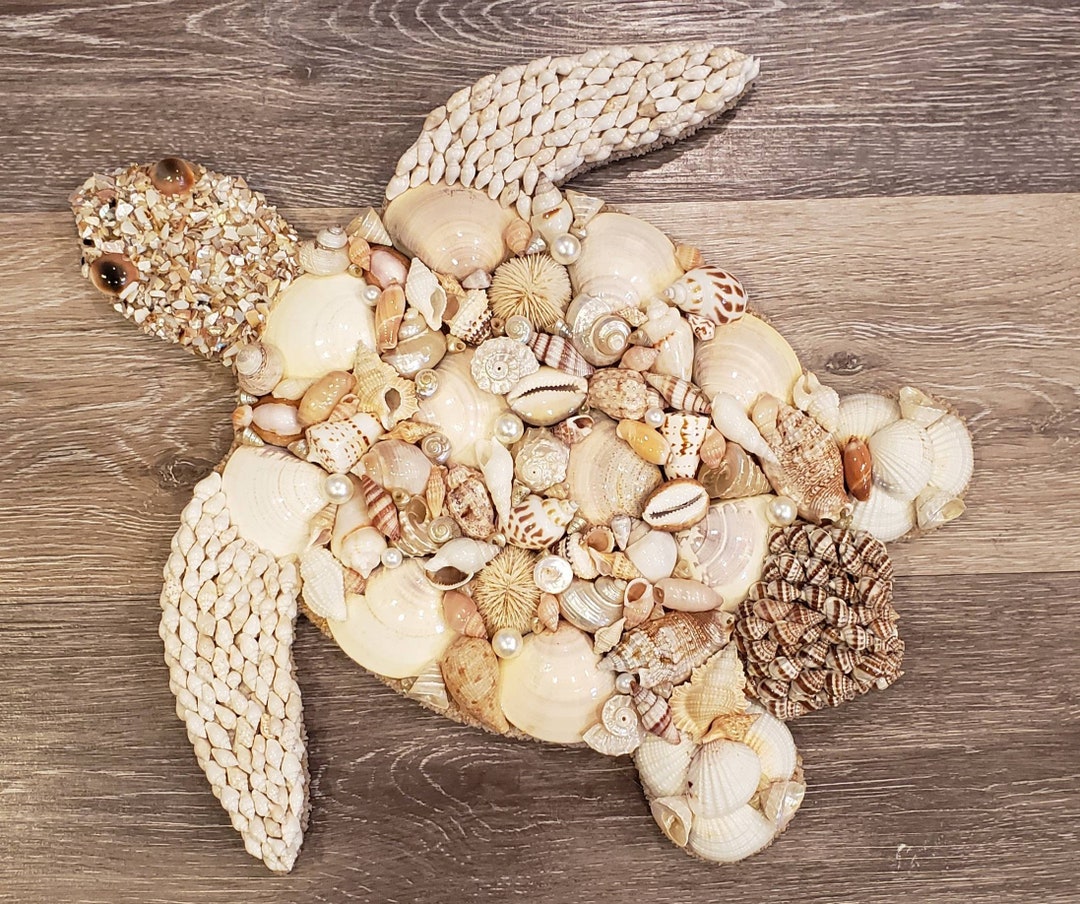 Seashell Turtle - Shell Turtle - Seashell Wall Decor - Beach Decor ...