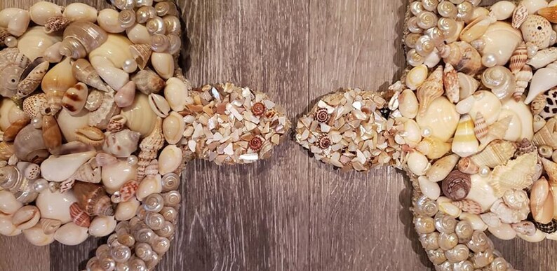 Seashell Turtle Shell Turtle Seashell Wall Decor Beach | Etsy