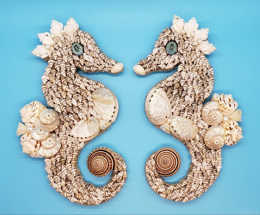 Seashell Seahorse - Seahorse Shell Art - Beach Decor - Seashell ...