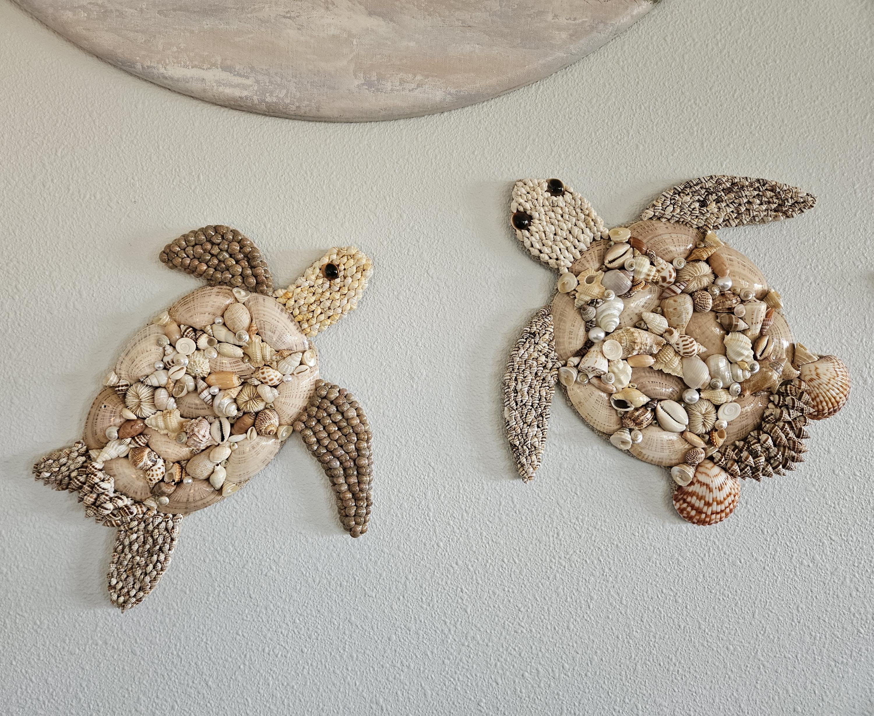 Seashell Turtle - Shell Turtle - Seashell Wall Decor - Beach Decor ...