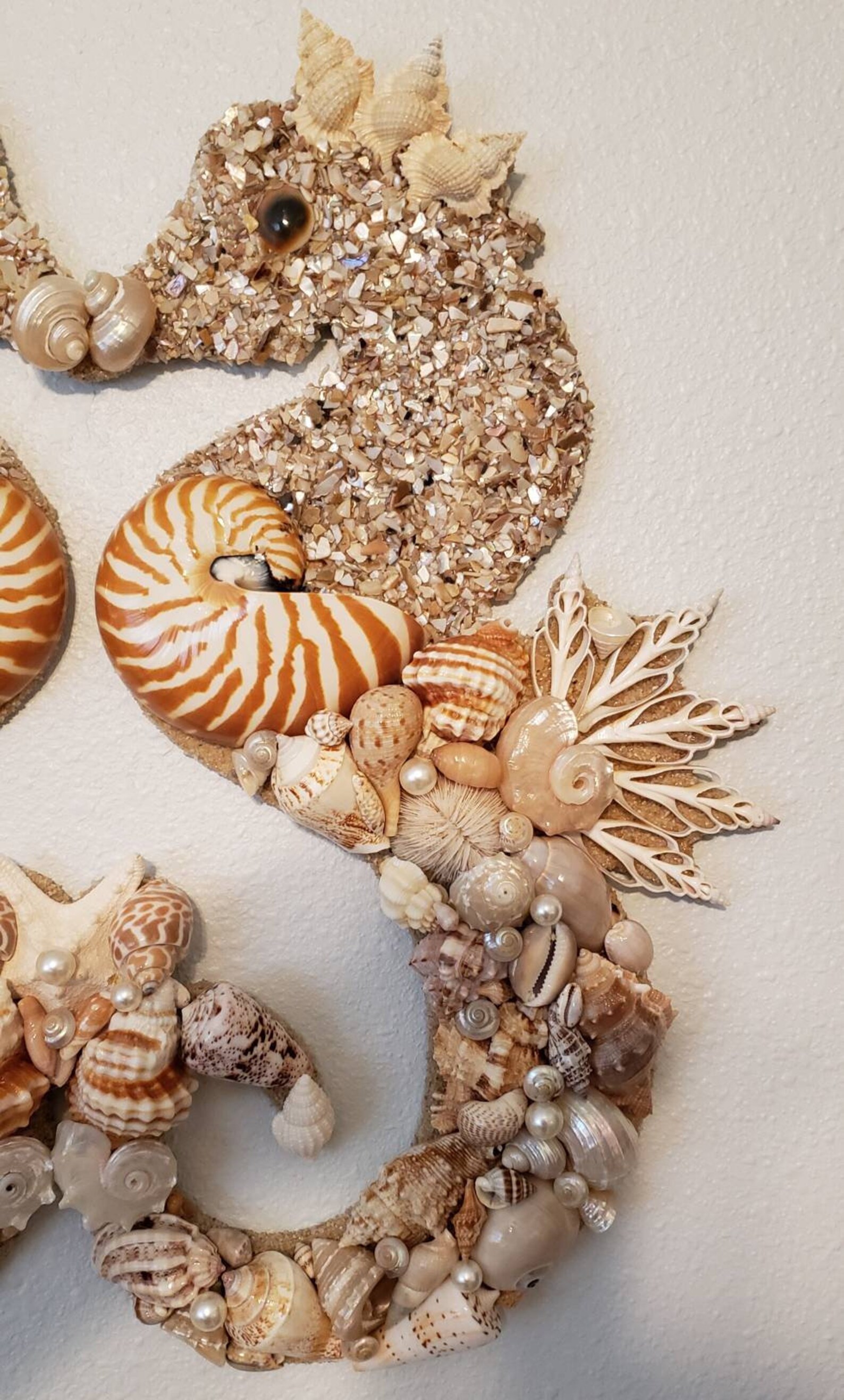 Seashell Seahorse Seahorse Coastal Art Kissing Seashell | Etsy