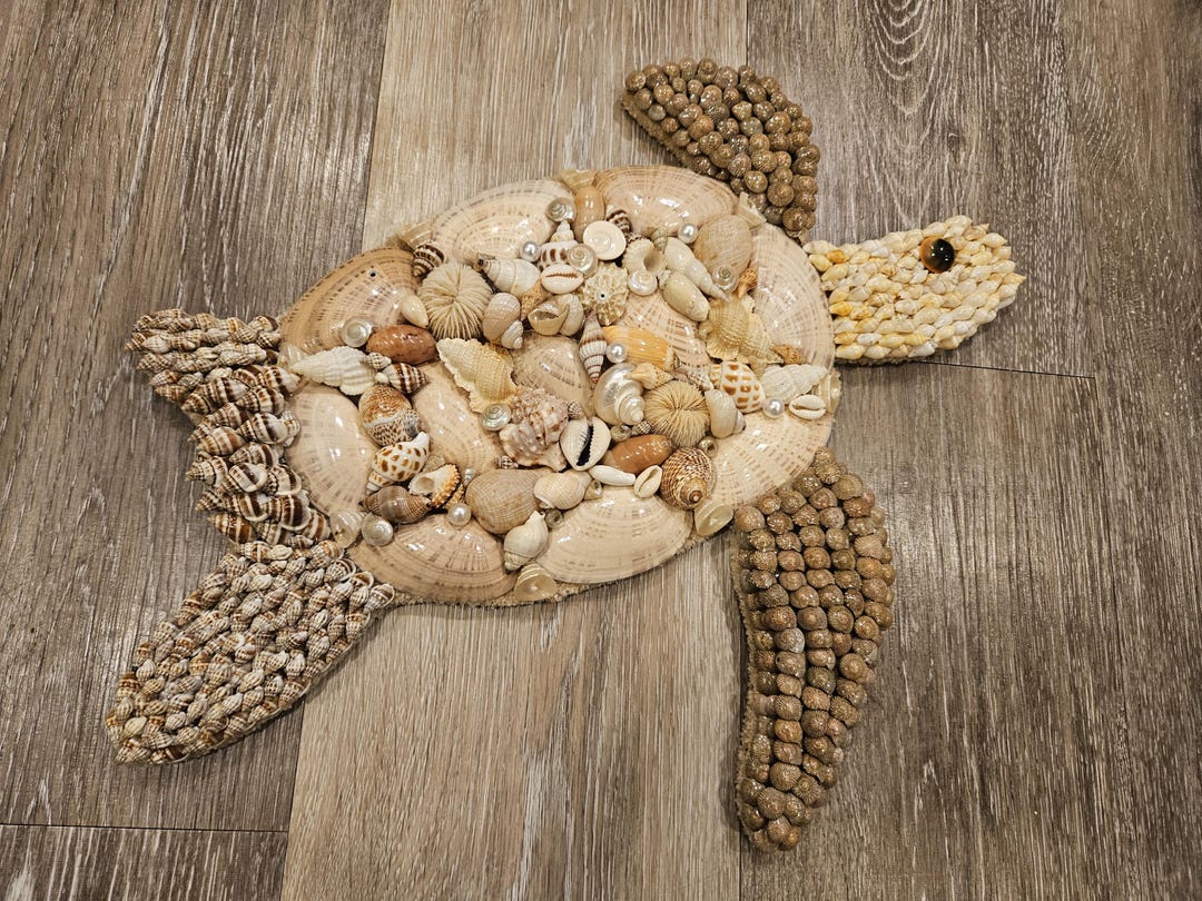 Seashell Turtle - Shell Turtle - Seashell Wall Decor - Beach Decor ...