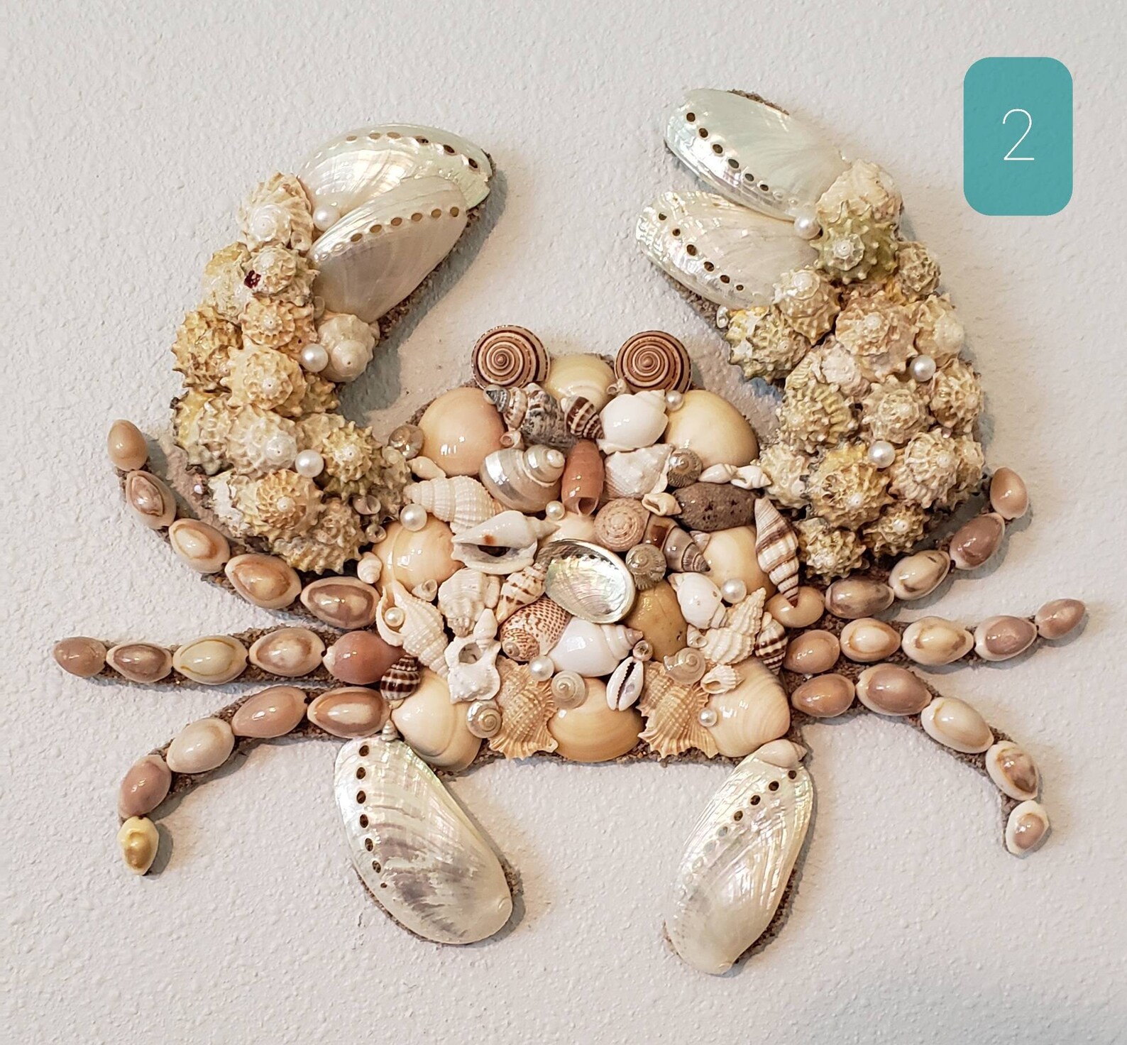 Seashell Crab Coastal Decor Beach Decor Nautical Decor - Etsy