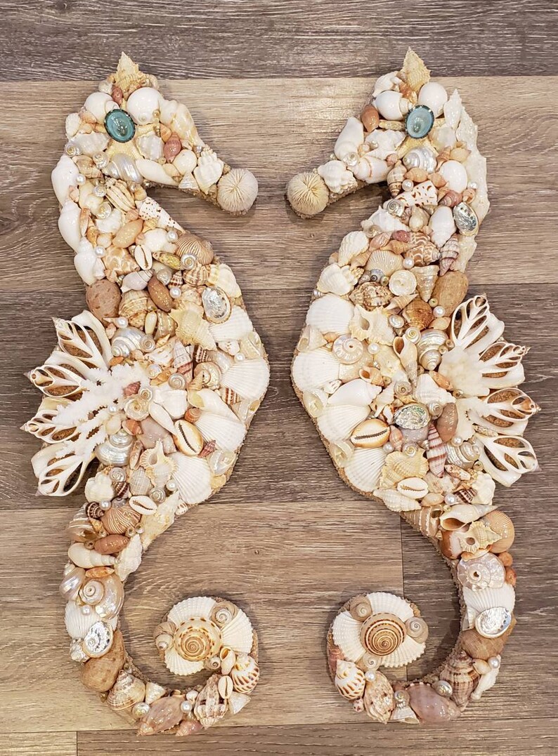Seashell Seahorse Seahorse Shell Art Beach Decor - Etsy