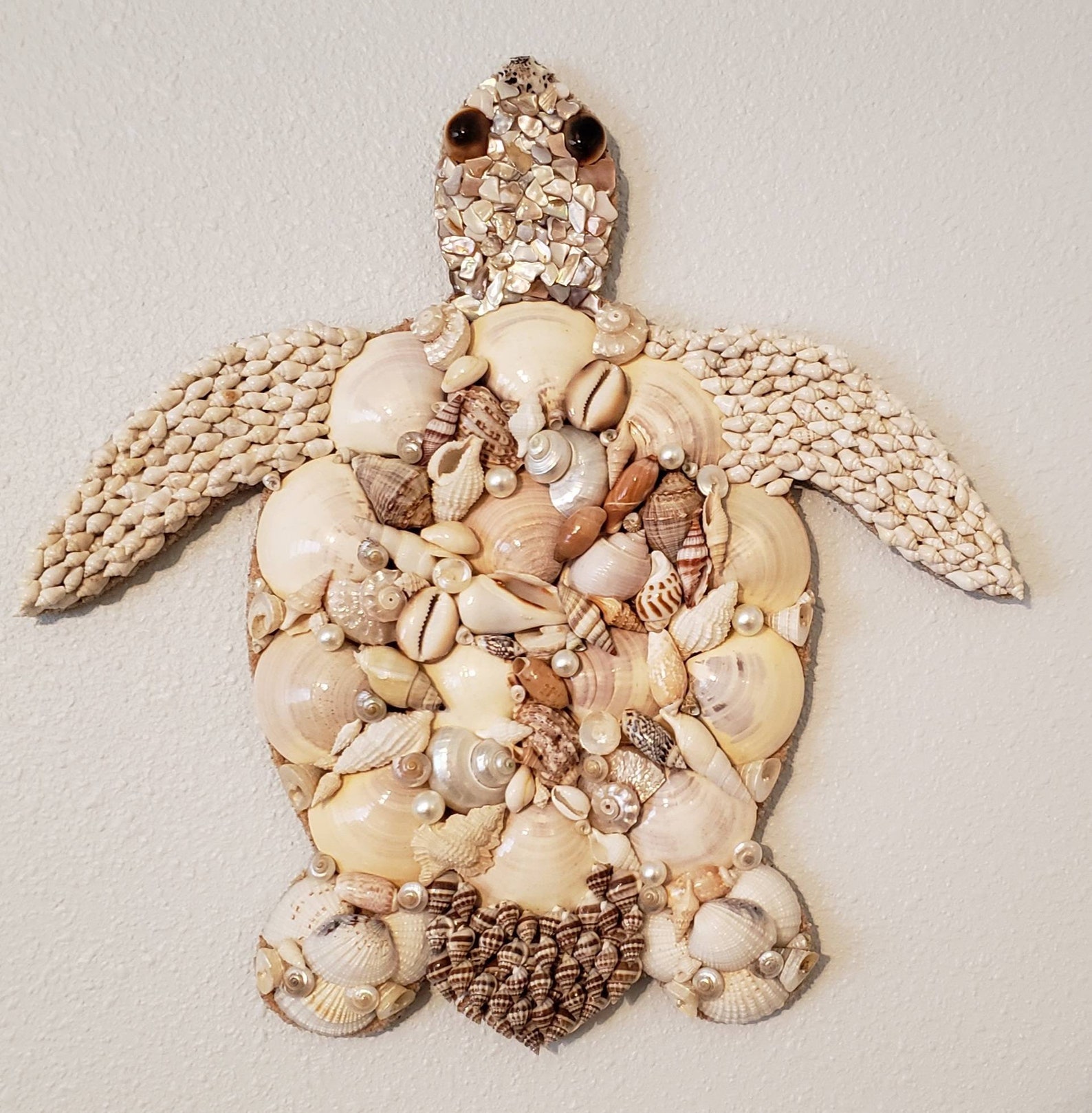 Seashell Turtle Shell Turtle Seashell Wall Decor Beach - Etsy