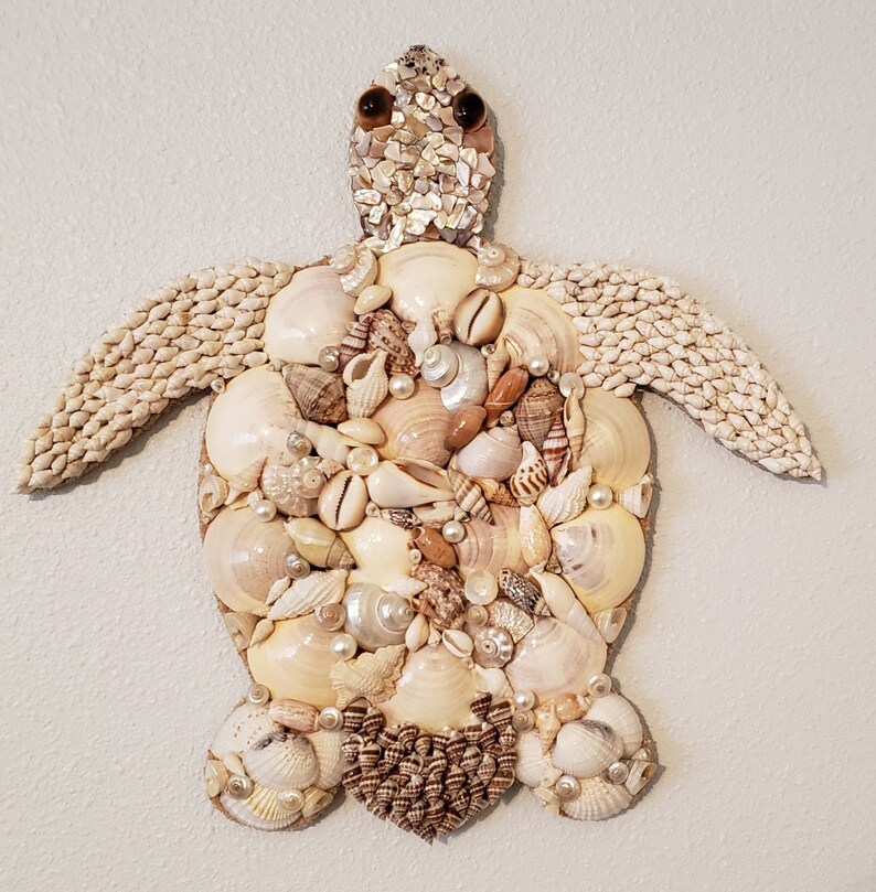 Seashell Turtle Shell Turtle Seashell Wall Decor Beach - Etsy