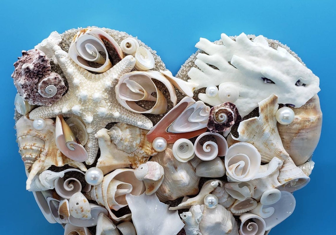 Seashell Heart Shell Heart Heart Wall Decor Seashell - Etsy