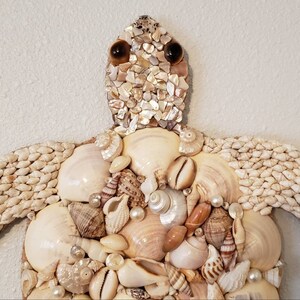 Seashell Turtle Shell Turtle Seashell Wall Decor Beach | Etsy