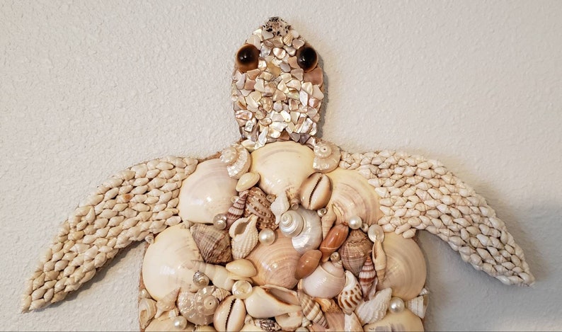 Seashell Turtle Shell Turtle Seashell Wall Decor Beach - Etsy