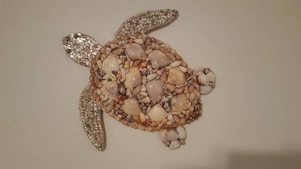 Seashell Turtle Shell Turtle Seashell Wall Decor Beach | Etsy