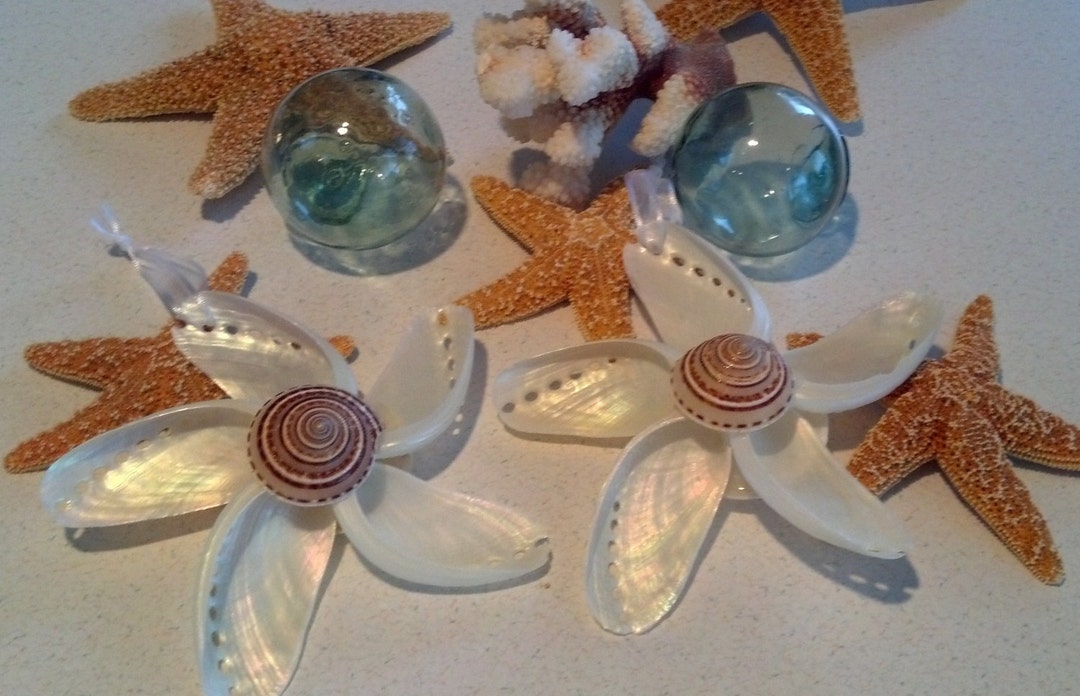 Beach Decor Star Shell Christmas Ornament - Nautical Decor Seashell ...