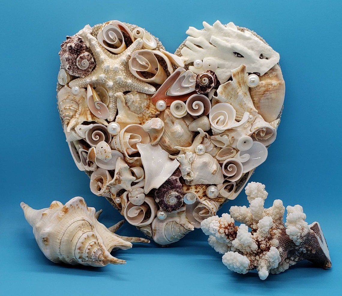 Seashell Heart Shell Heart Heart Wall Decor Seashell - Etsy