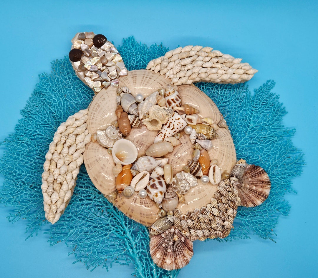 Seashell Turtle Shell Turtle Seashell Wall Decor Beach - Etsy