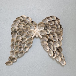 Seashell Angel Wings - Abalone & Seashell Angel Wings - Coastal Decor ...