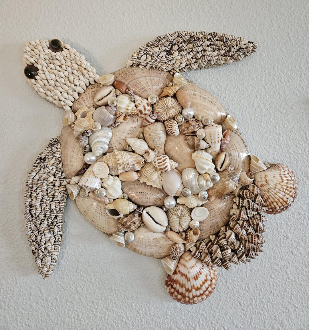 Seashell Turtle - Shell Turtle - Seashell Wall Decor - Beach Decor ...