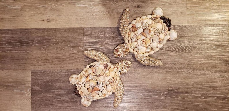 Seashell Turtle Shell Turtle Seashell Wall Decor Beach | Etsy