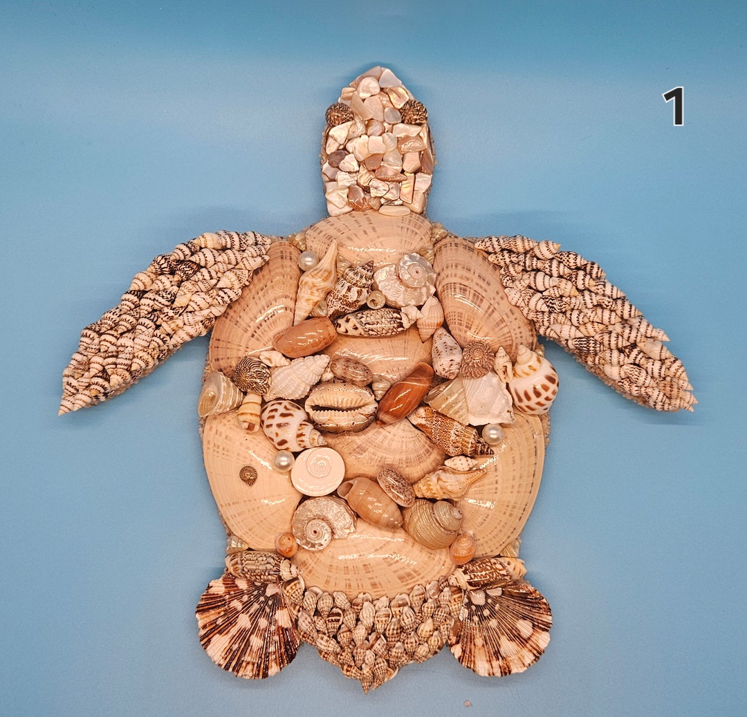 Seashell Turtle - Shell Turtle - Seashell Wall Decor - Beach Decor ...