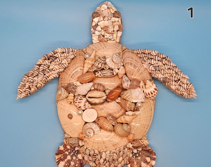 Seashell Turtle Shell Turtle Seashell Wall Decor Beach Decor Nautical ...