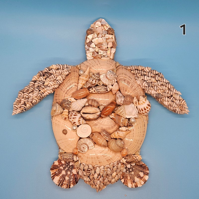 Seashell Turtle - Etsy