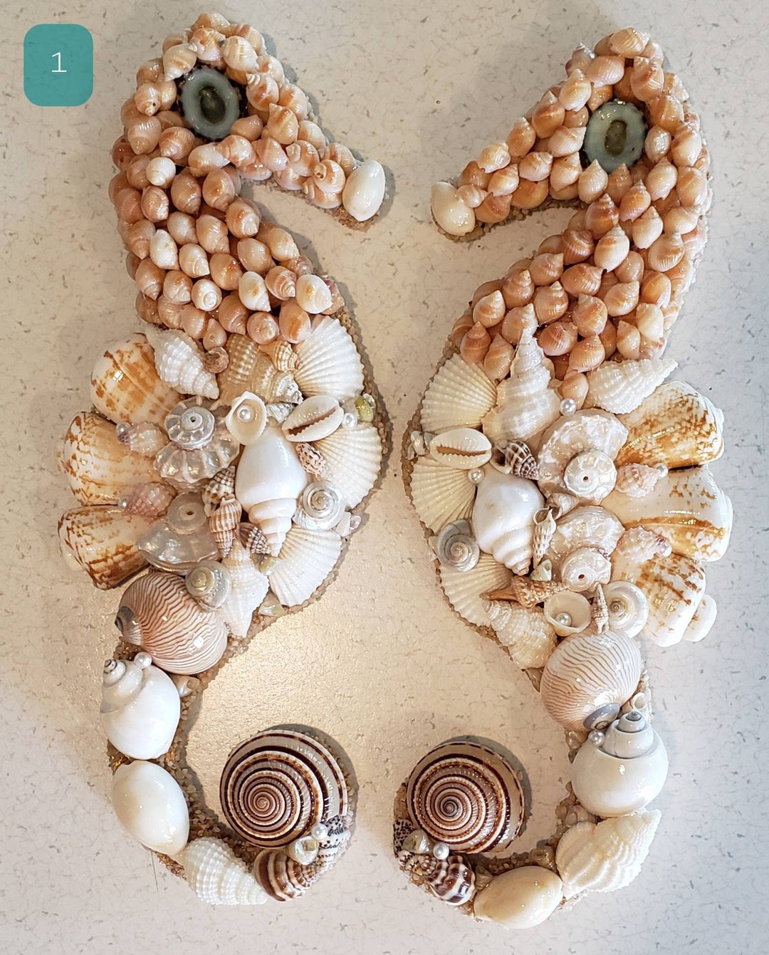 Set of 2 Seashell Seahorses - Seahorse Shell Art - Beach Decor ...