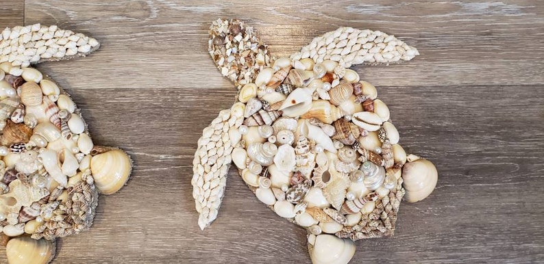 Seashell Turtle Shell Turtle Seashell Wall Decor Beach | Etsy
