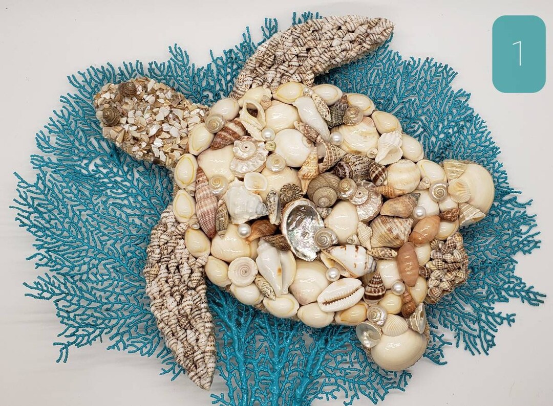 Seashell Turtle Shell Turtle Seashell Wall Decor Beach - Etsy