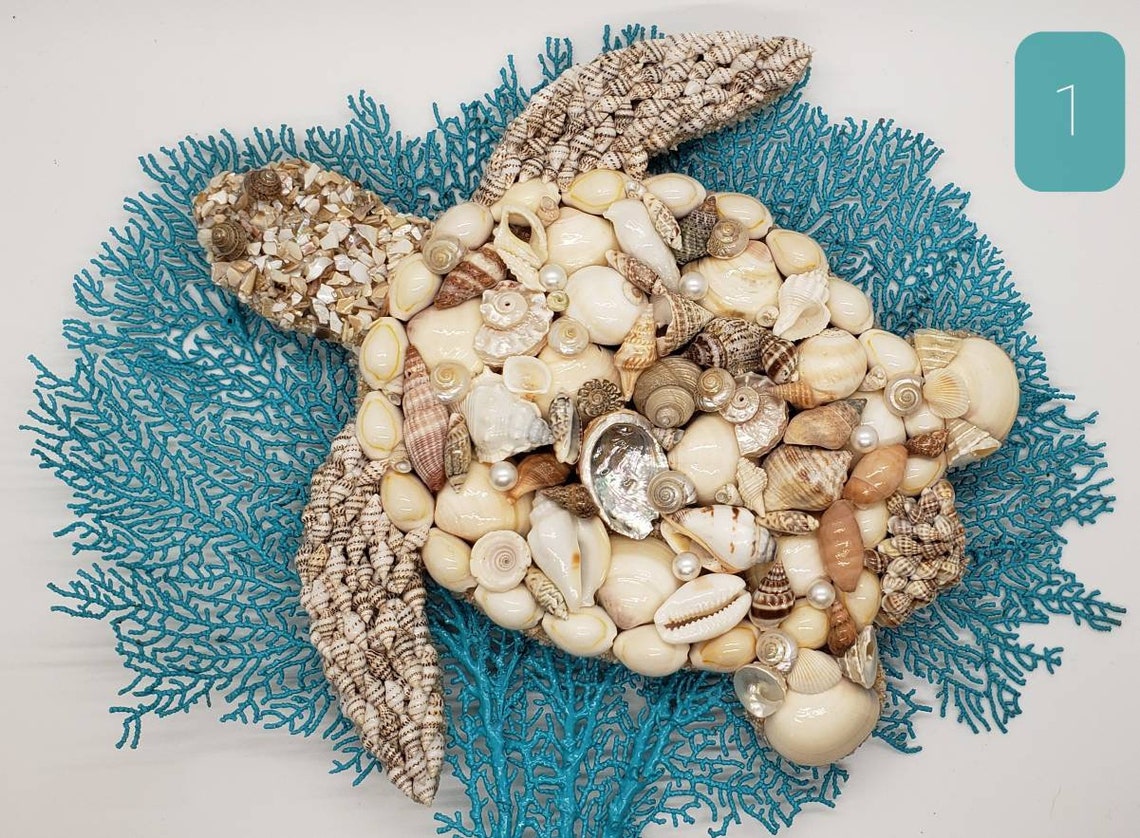 Seashell Turtle Shell Turtle Seashell Wall Decor Beach - Etsy